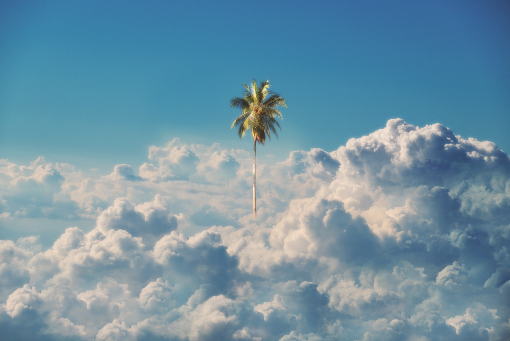 Dreamscape Introduces New Rio Hotel & Casino Leadership Team - Rio Las ...